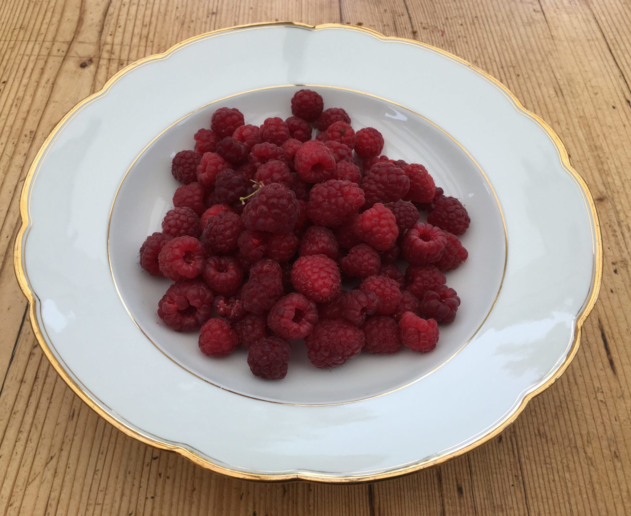 Apfel-Kompott mit Herbst Himbeeren – Meine kleine Wiese